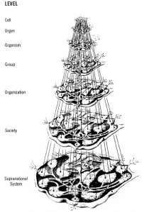 Living Systems | James Grier Miller | 1978 | Systems Community of Inquiry