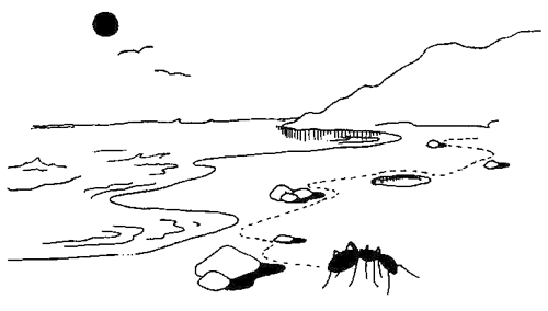 Simon’s ant & system complexity – The Seemingly Unrelated | Systems ...