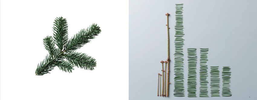 Mechanistic or Relational Worldview for Talent Identification Research ...